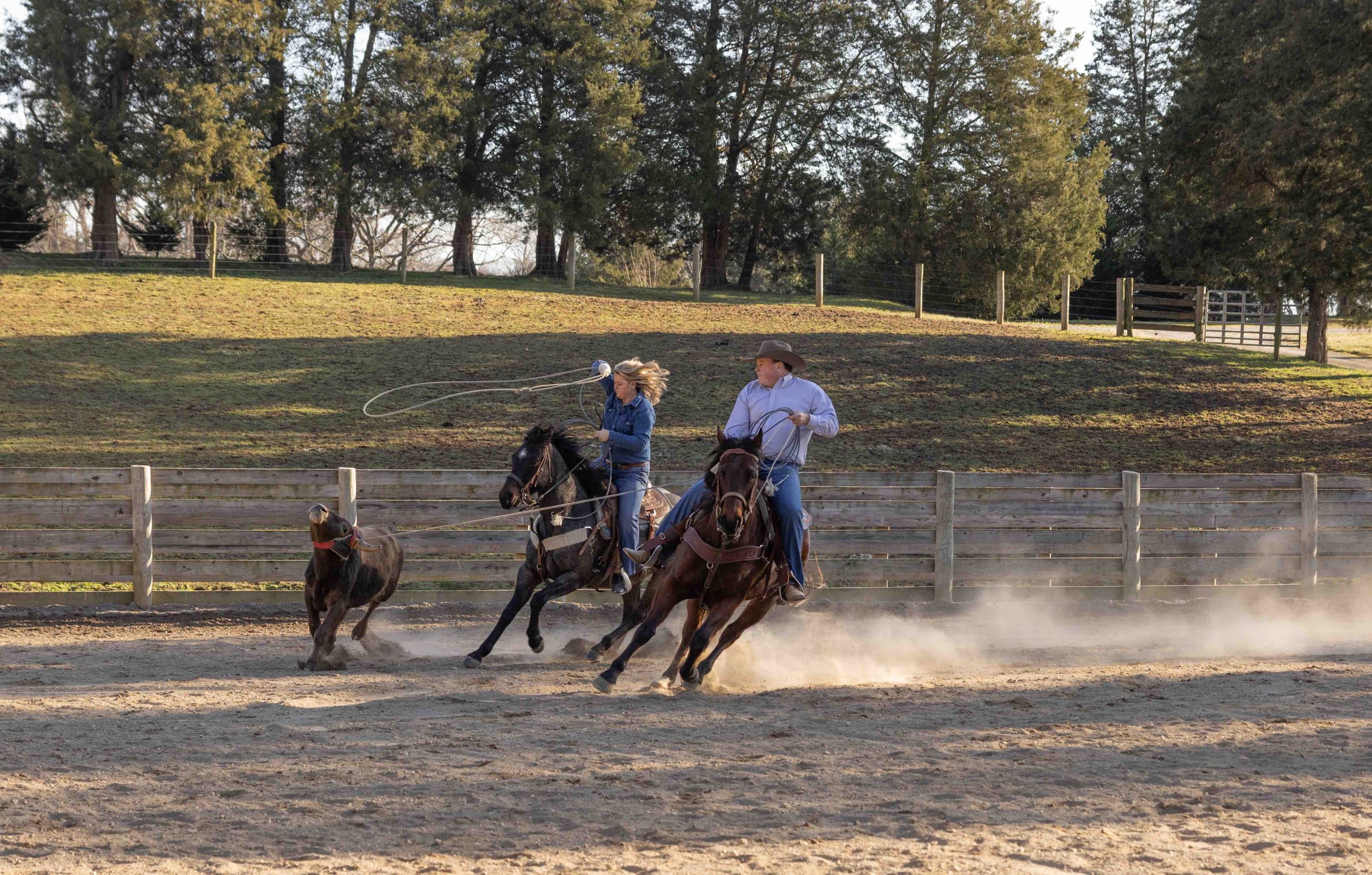 Roping Fever – Cityview