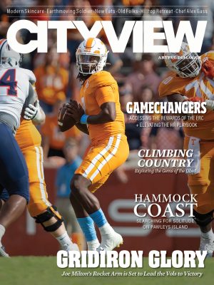 Cityview Archives – Cityview